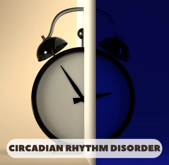 Are You Struggling With a Circadian Rhythm Disorder? | Diet Plus Minus