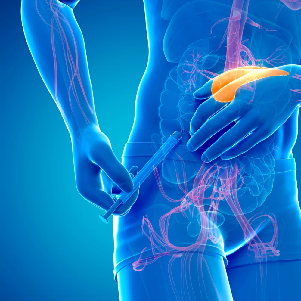 The Connection Between Fatty Liver Disease And Insulin Resistance The Connection Between Fatty Liver Disease And Insulin Resistance