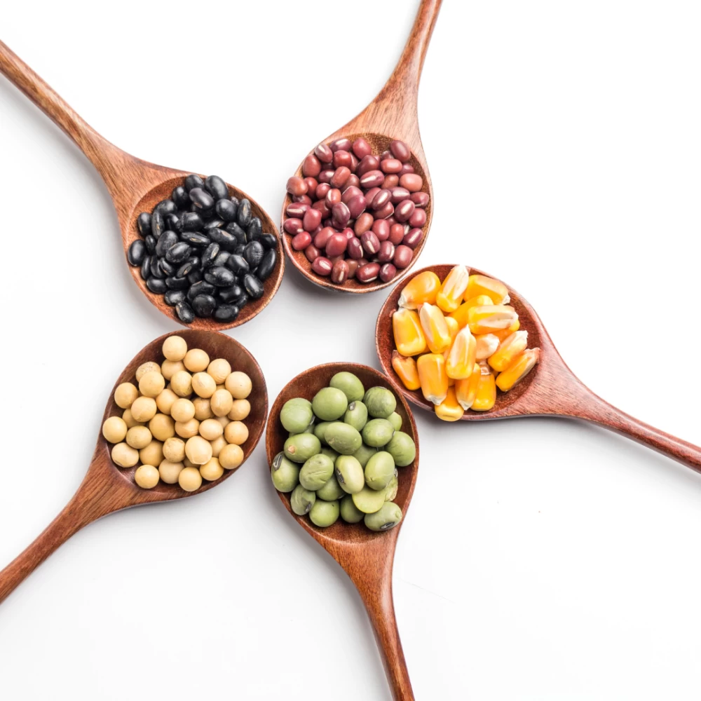 10 Nutrient-Rich Black Foods for a Health Boost | Diet Plus Minus